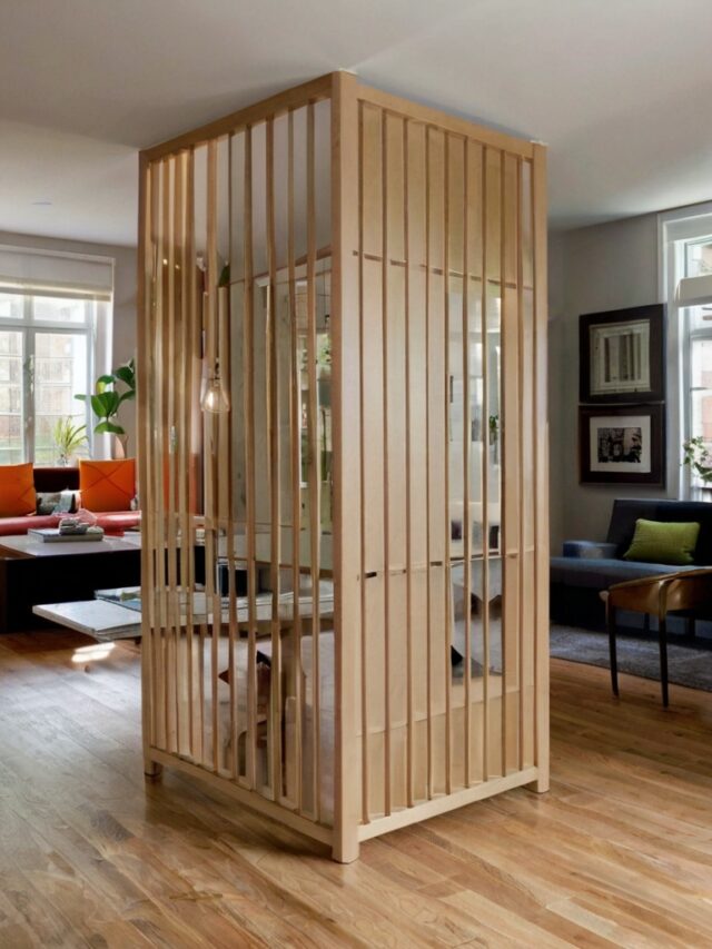 16 Stylish Living Room Divider Ideas: Modern Home - Homezillo