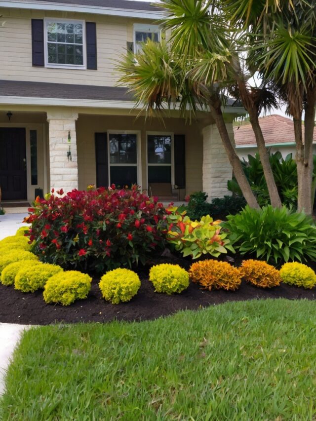 15+ Affordable Front Yard Landscaping Ideas Florida - Homezillo
