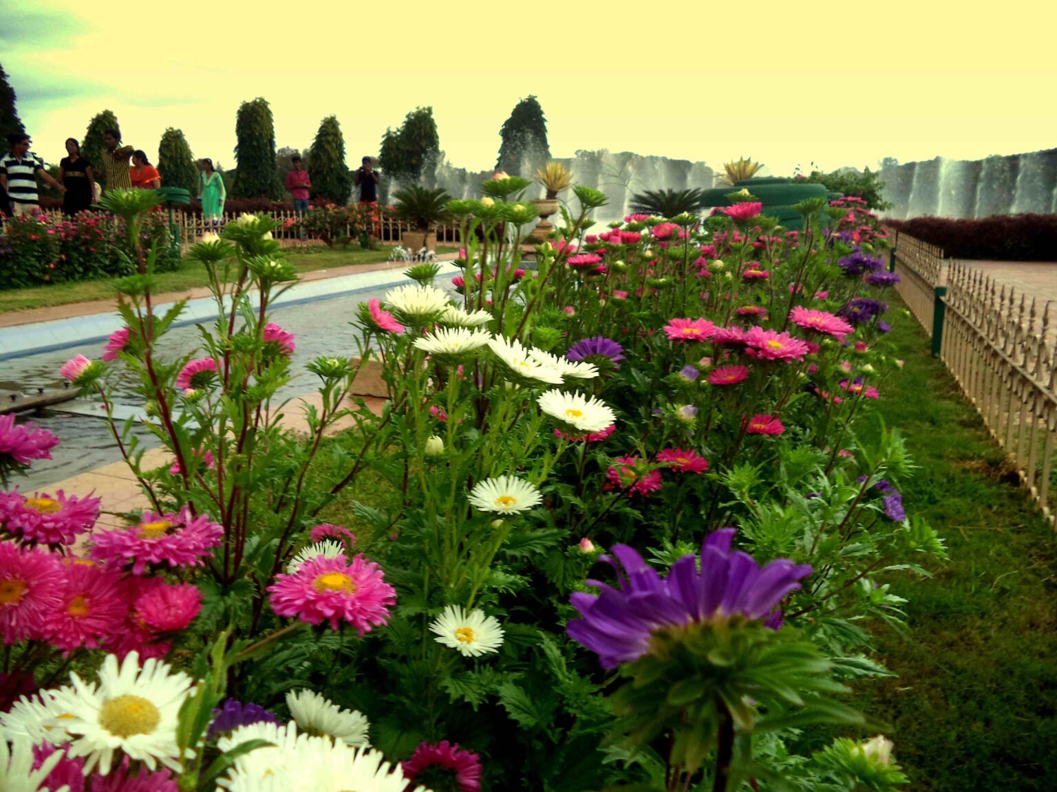 15 Best Small Tree for Flower Beds That Wow